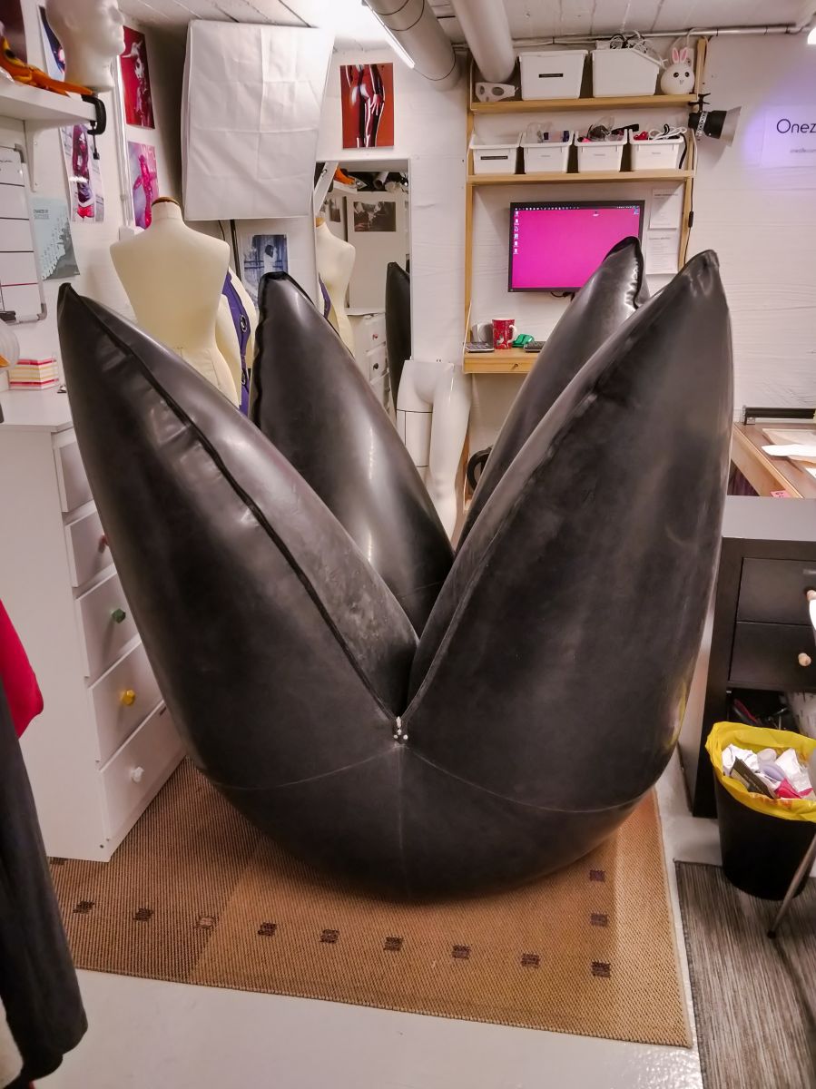 Lateksia lateksia - Onezille